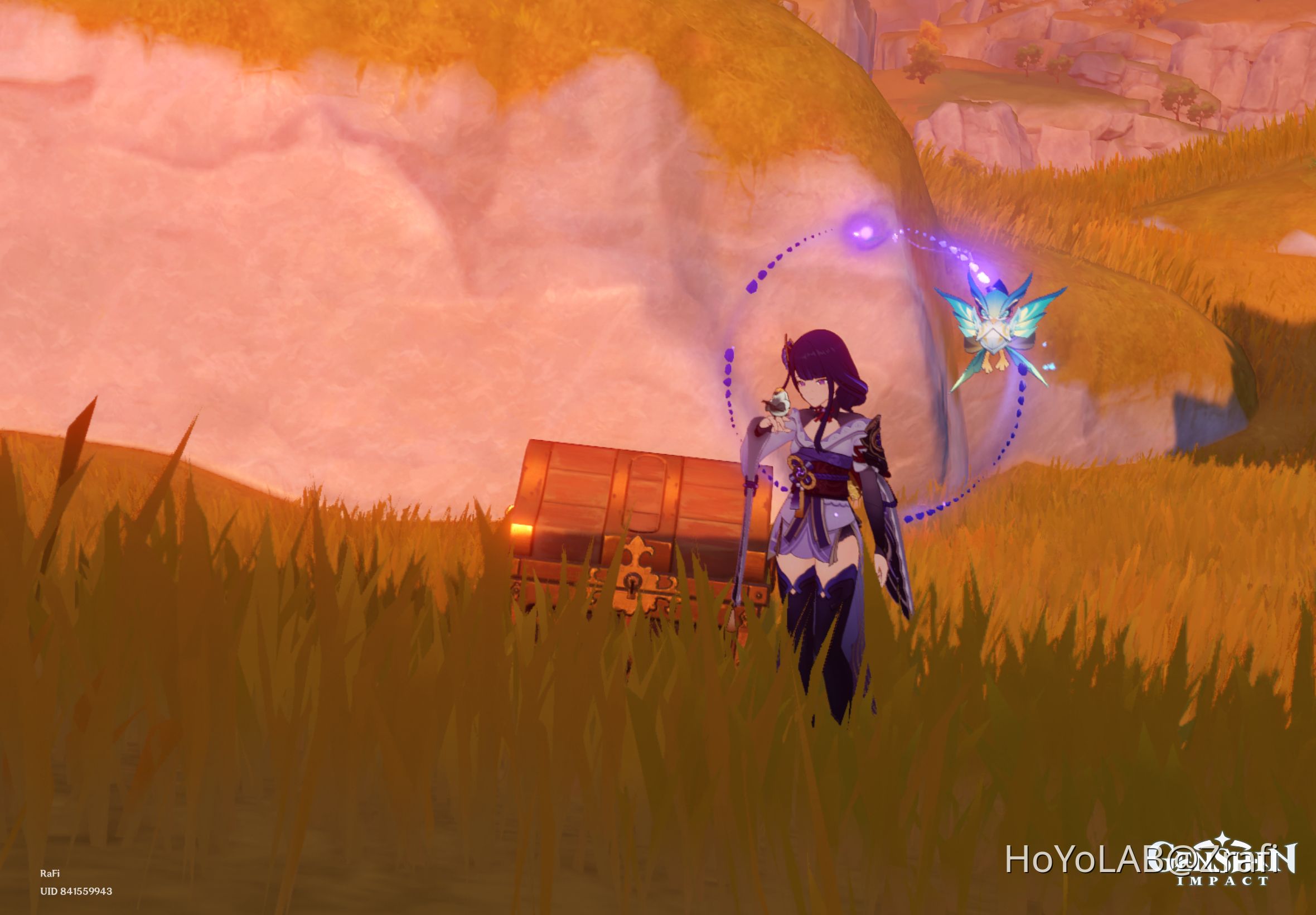 Hidden Precious Chest Genshin Impact | HoYoLAB