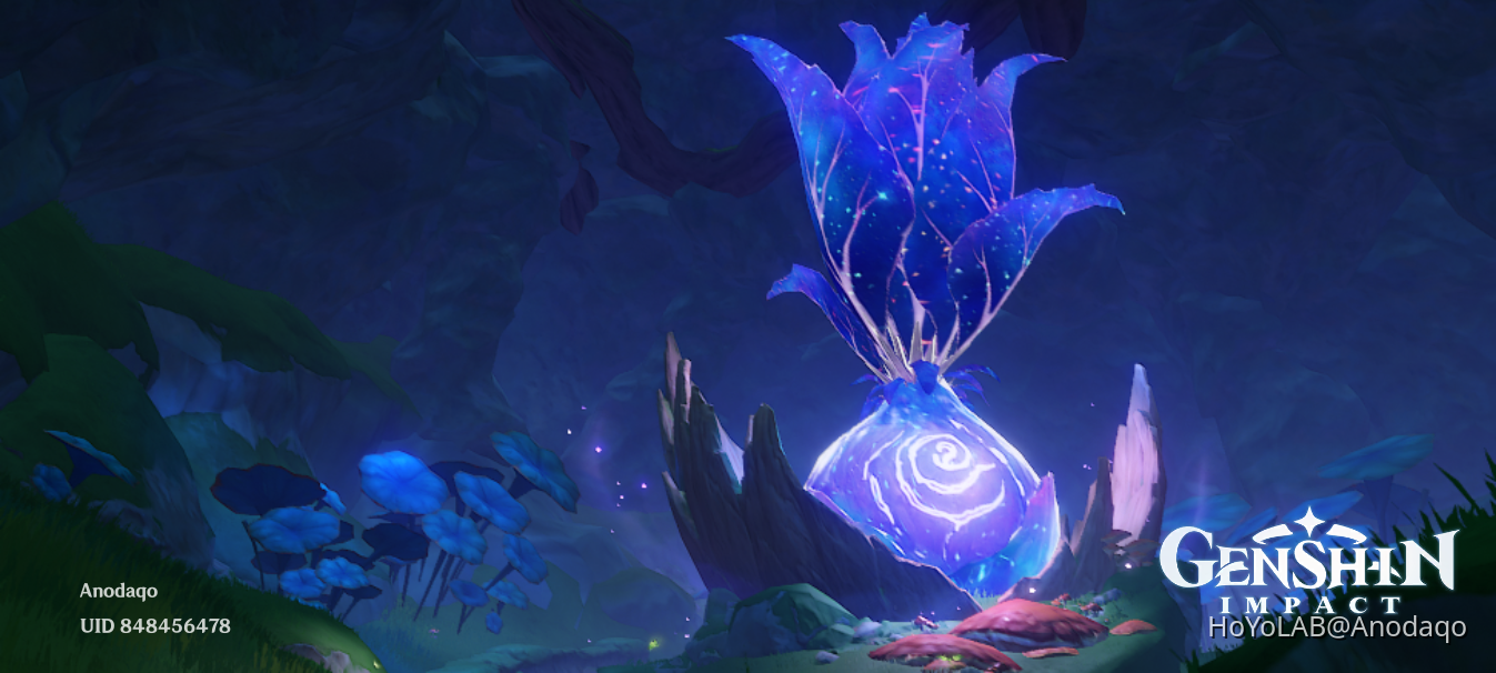 Vanarana Tree Genshin Impact | HoYoLAB