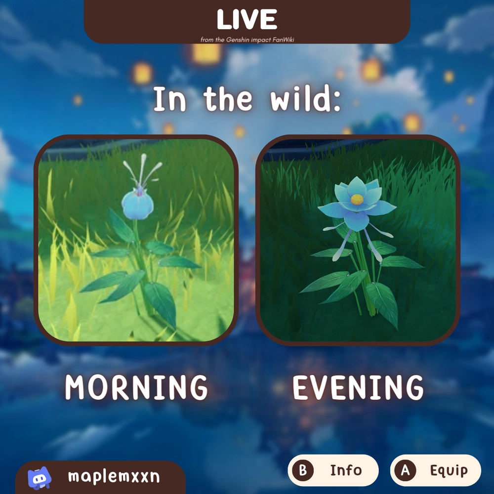 Ver 3.4 | Glaze Lily Hunt Decree Genshin Impact | HoYoLAB