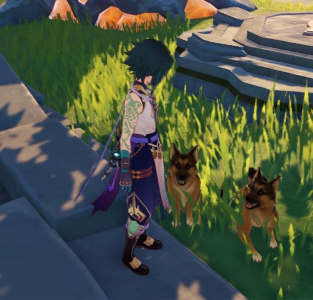 Hey Hoyo… LET ME PET THE DOGS Genshin Impact | HoYoLAB