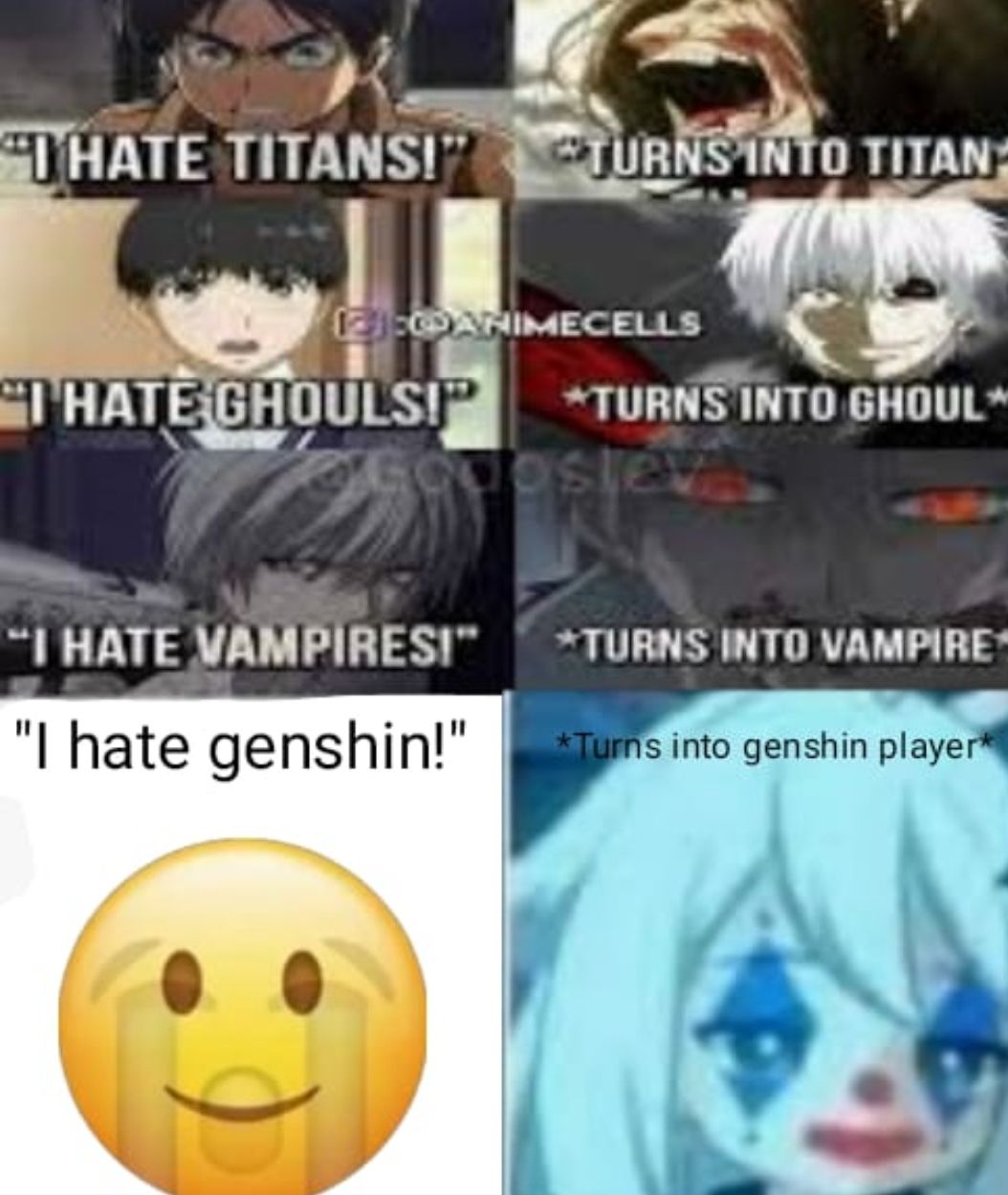 Hate Hate Hate Meme