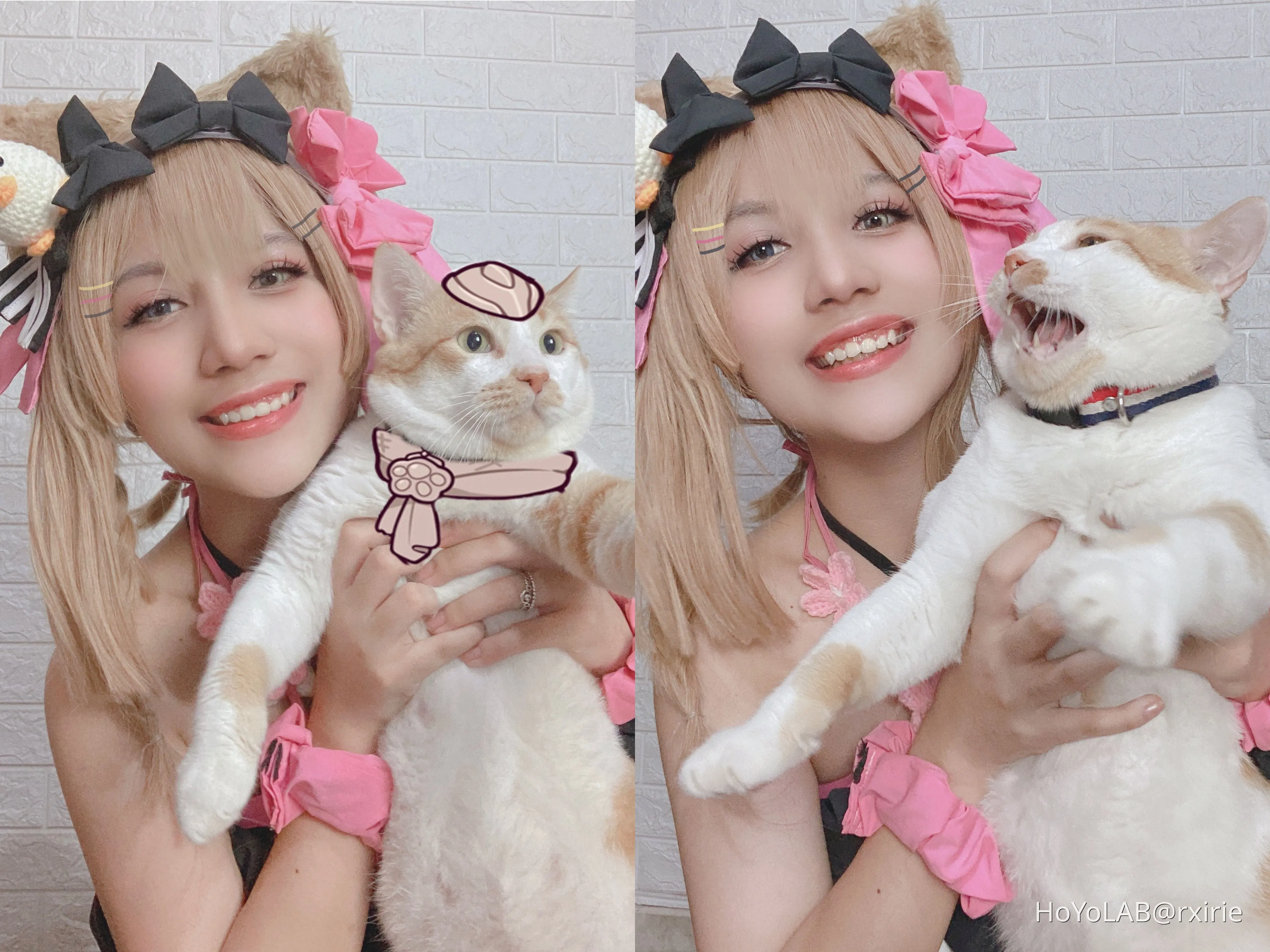 Summer Pardofelis Cosplay ! Honkai Impact 3rd | HoYoLAB