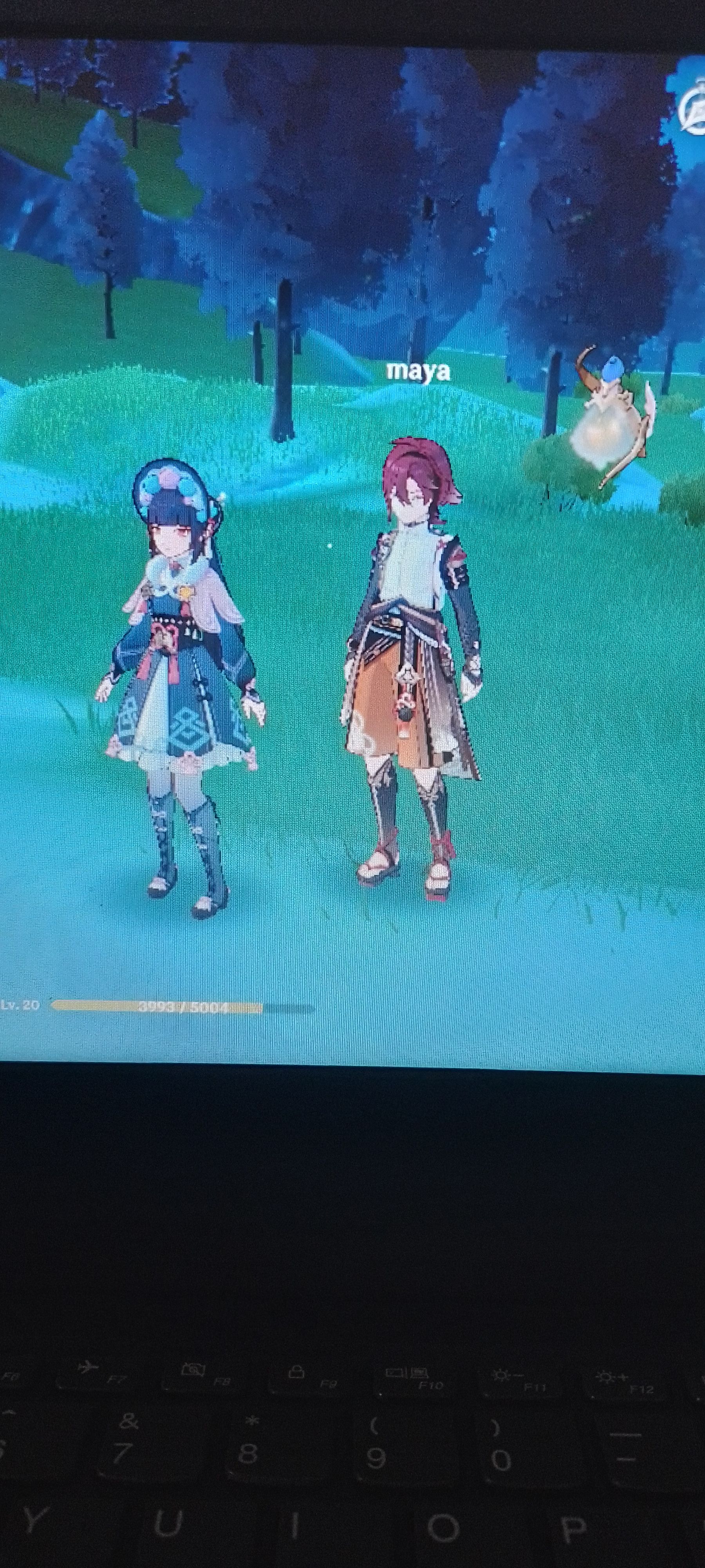 Me and my friend getting ready to fight the Ameno Hypostasis! Genshin ...