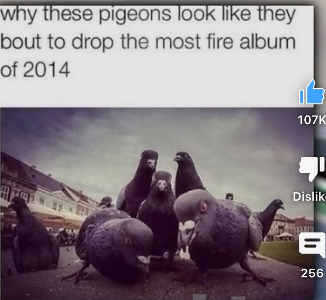 I just felt like sharing this | HoYoLAB