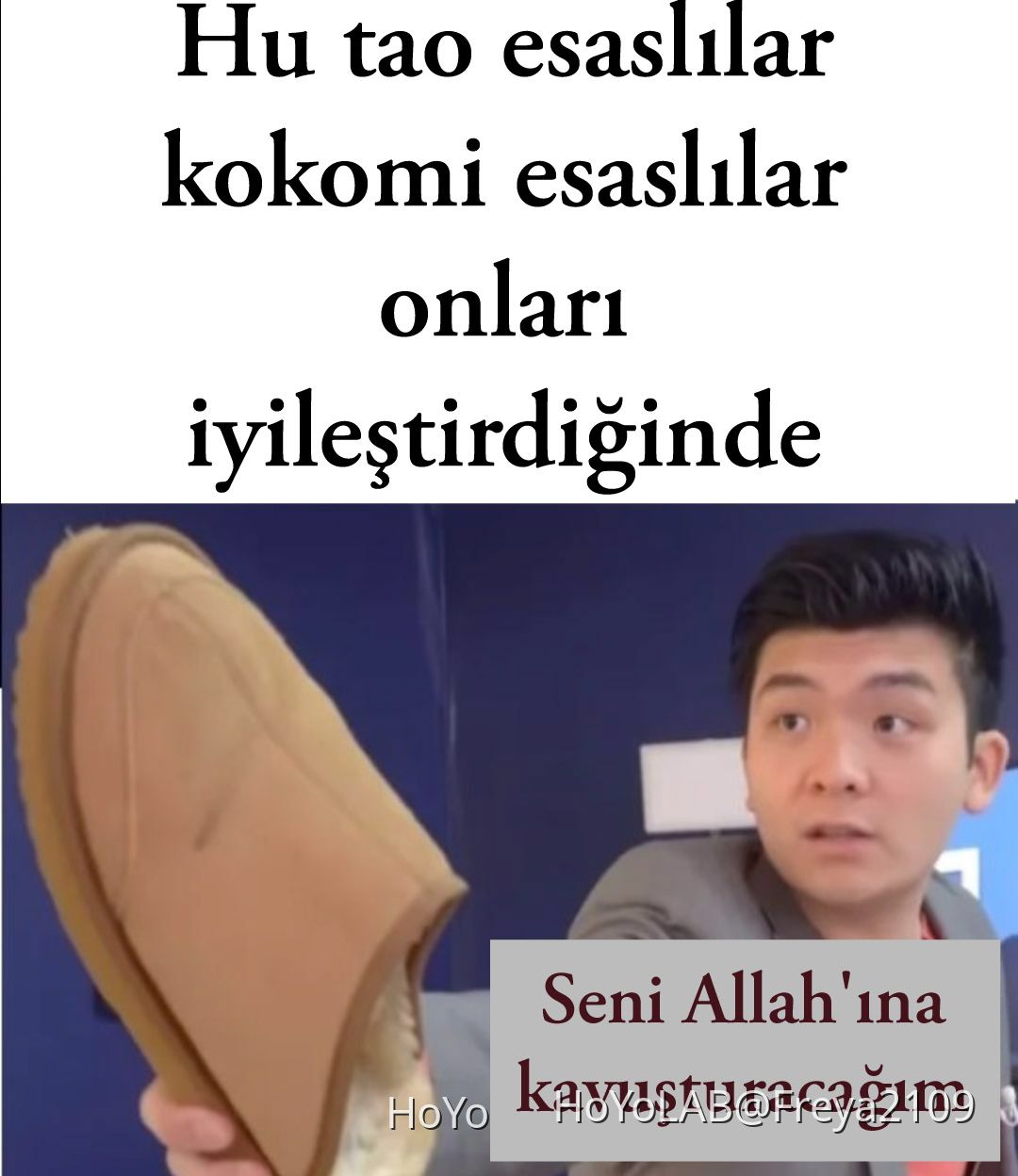 Hu Tao VS Kokomi Genshin Impact | HoYoLAB