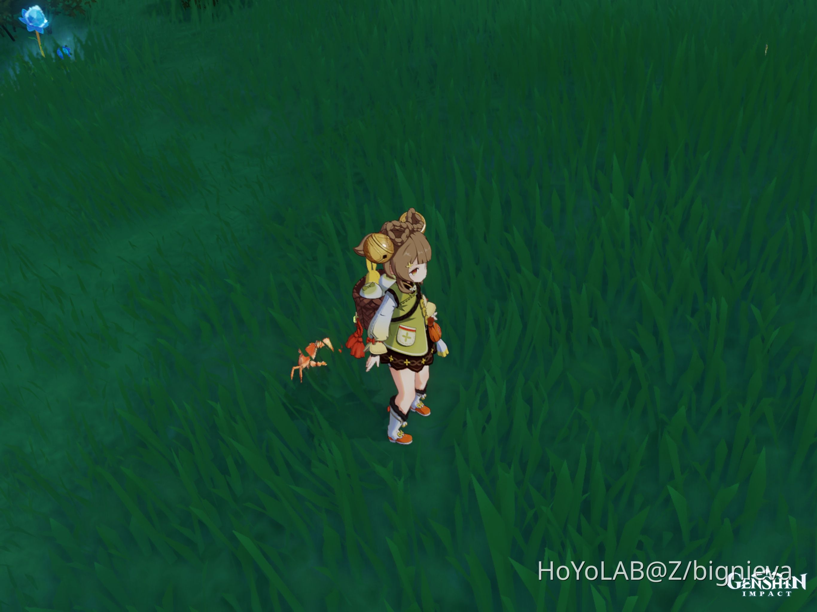 Sun crab in Dvalin’s Lair Genshin Impact | HoYoLAB