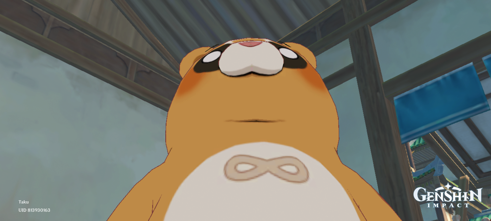 Gouba Genshin Impact | HoYoLAB