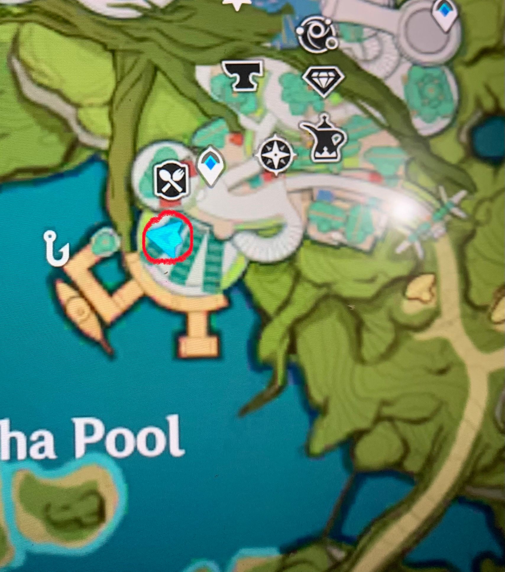 Sumeru Merchants You May Not Have Noticed Genshin Impact | HoYoLAB