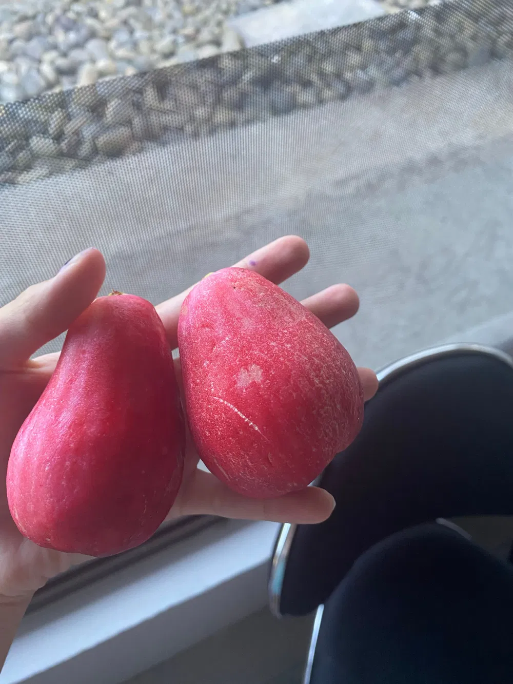 Zaytun peach irl? Genshin Impact | HoYoLAB