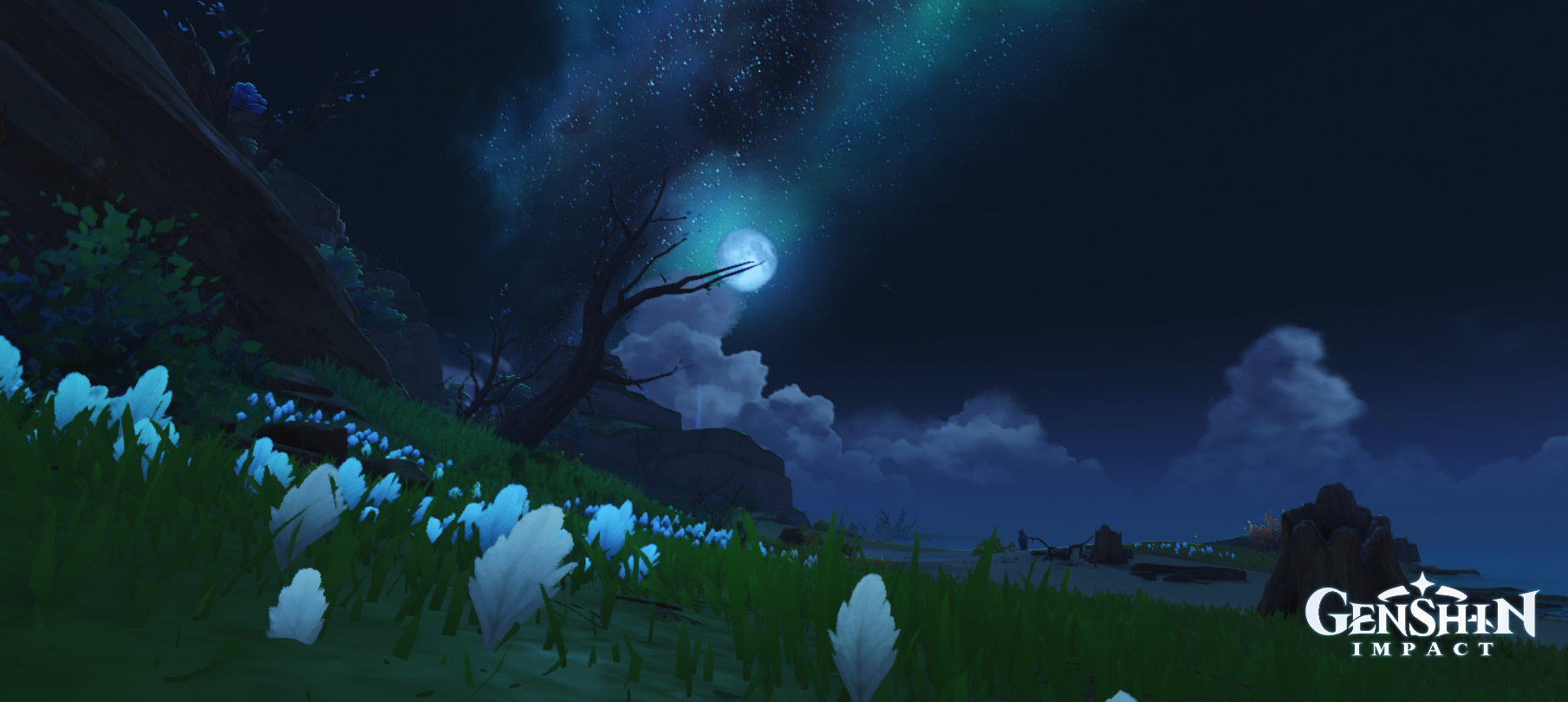 Night Genshin Impact | HoYoLAB