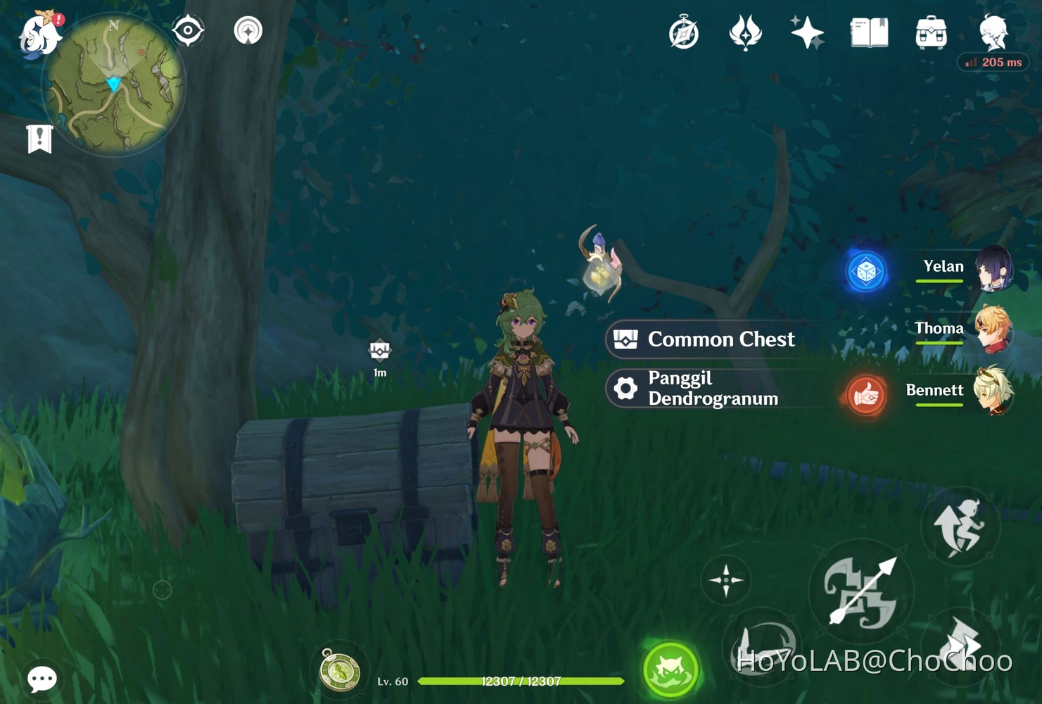 Hidden chest (sumeru puzzle) Genshin Impact | HoYoLAB