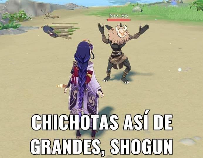 sis o non't? Genshin Impact | HoYoLAB