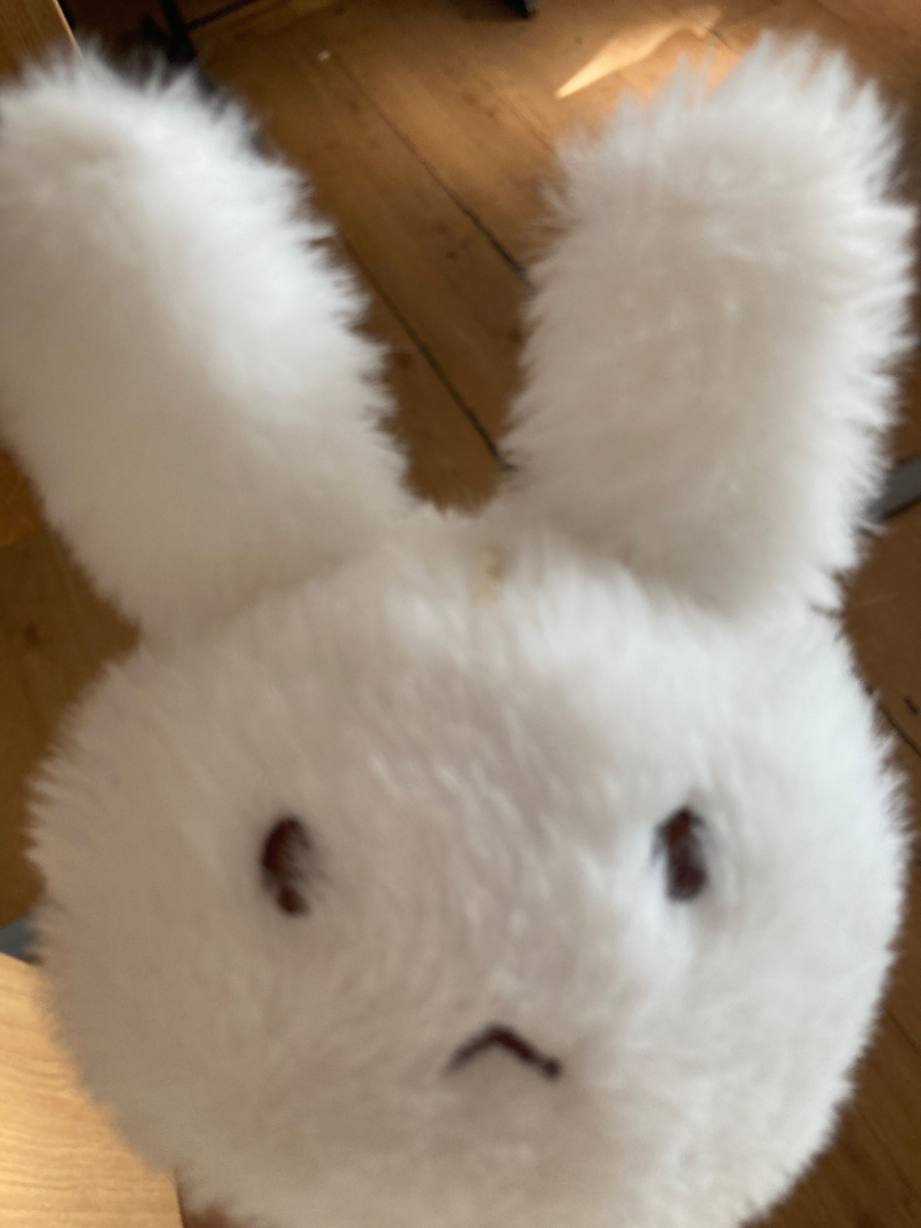 I bought a dodoco plush Genshin Impact | HoYoLAB