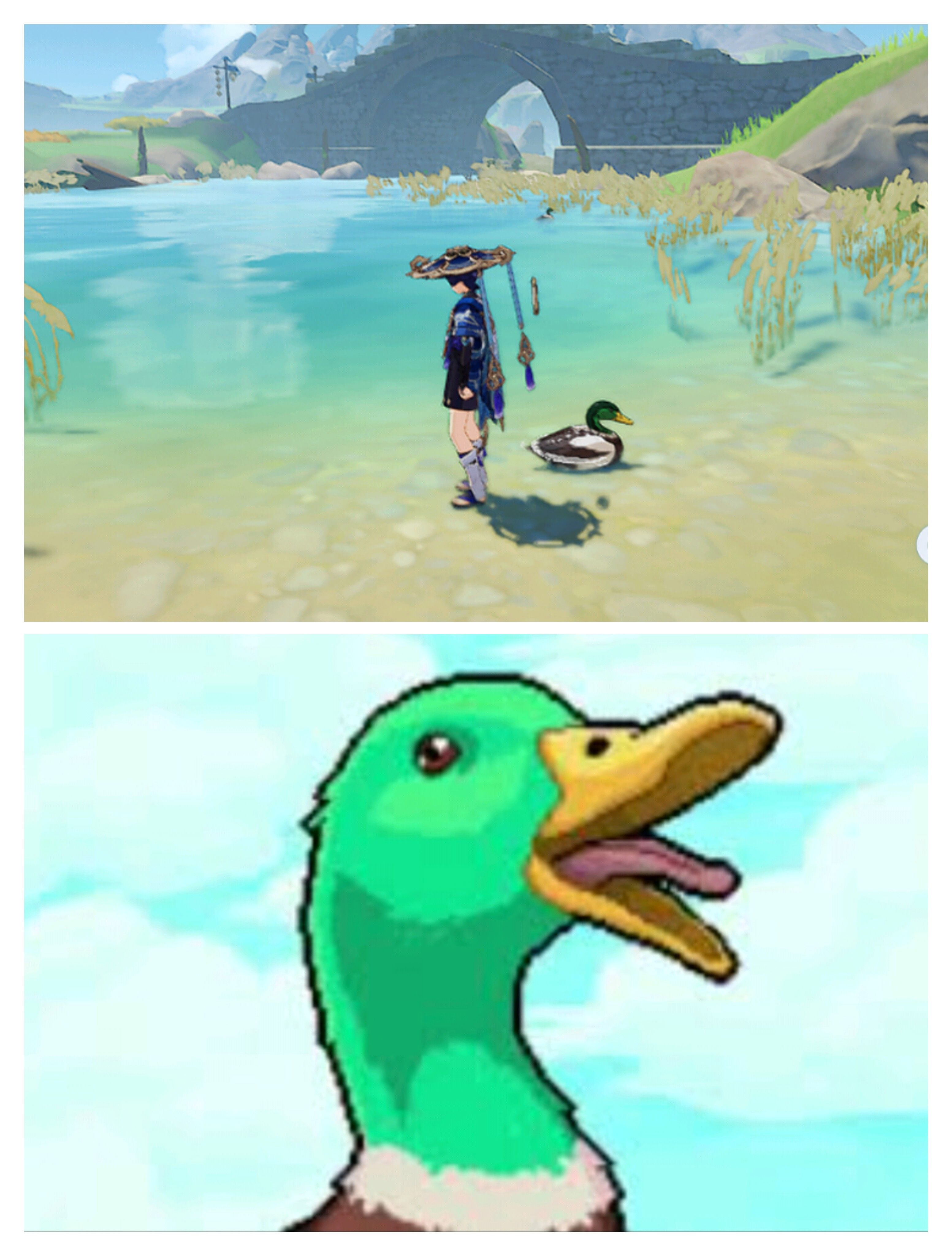 même from genshin impact Genshin Impact | HoYoLAB