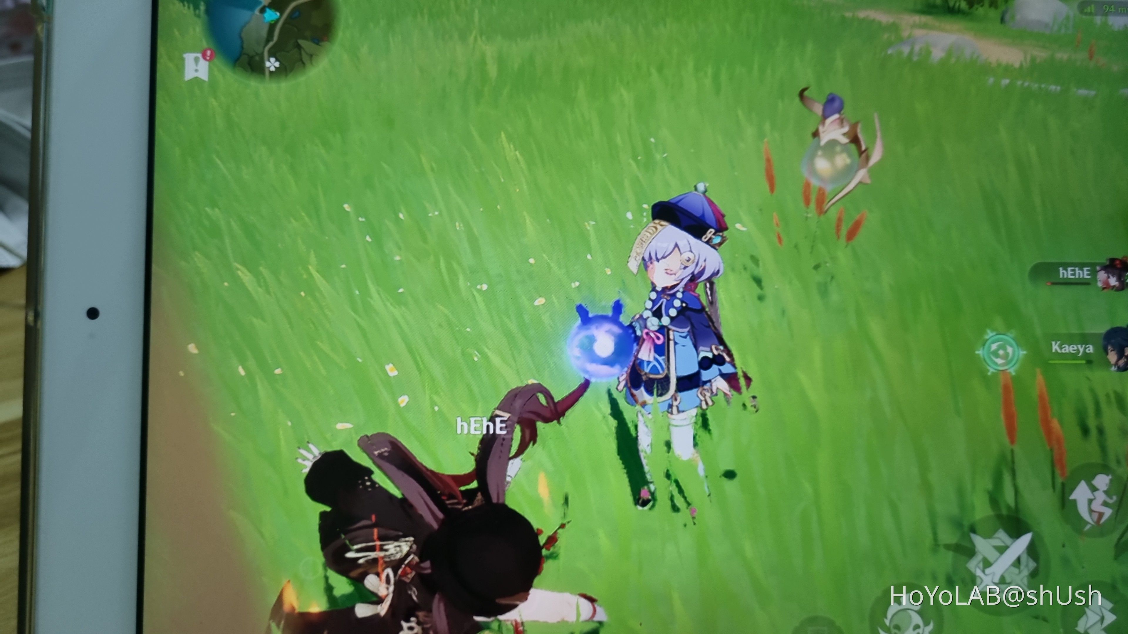 Qiqi vs hutao Genshin Impact | HoYoLAB