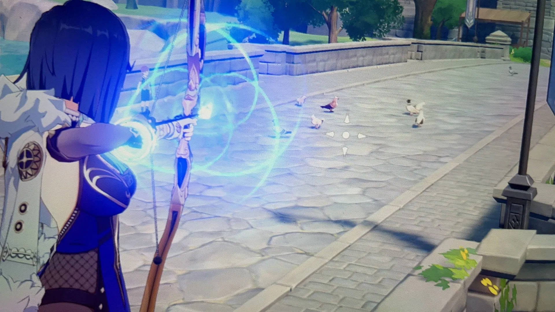 Rip timmies pigeons Genshin Impact | HoYoLAB