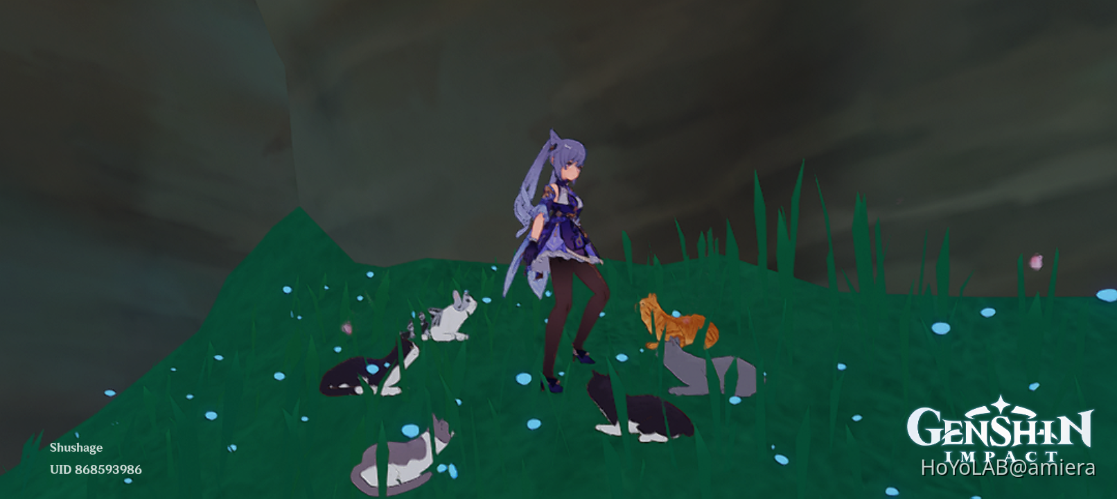 Cat summoning circle Genshin Impact | HoYoLAB