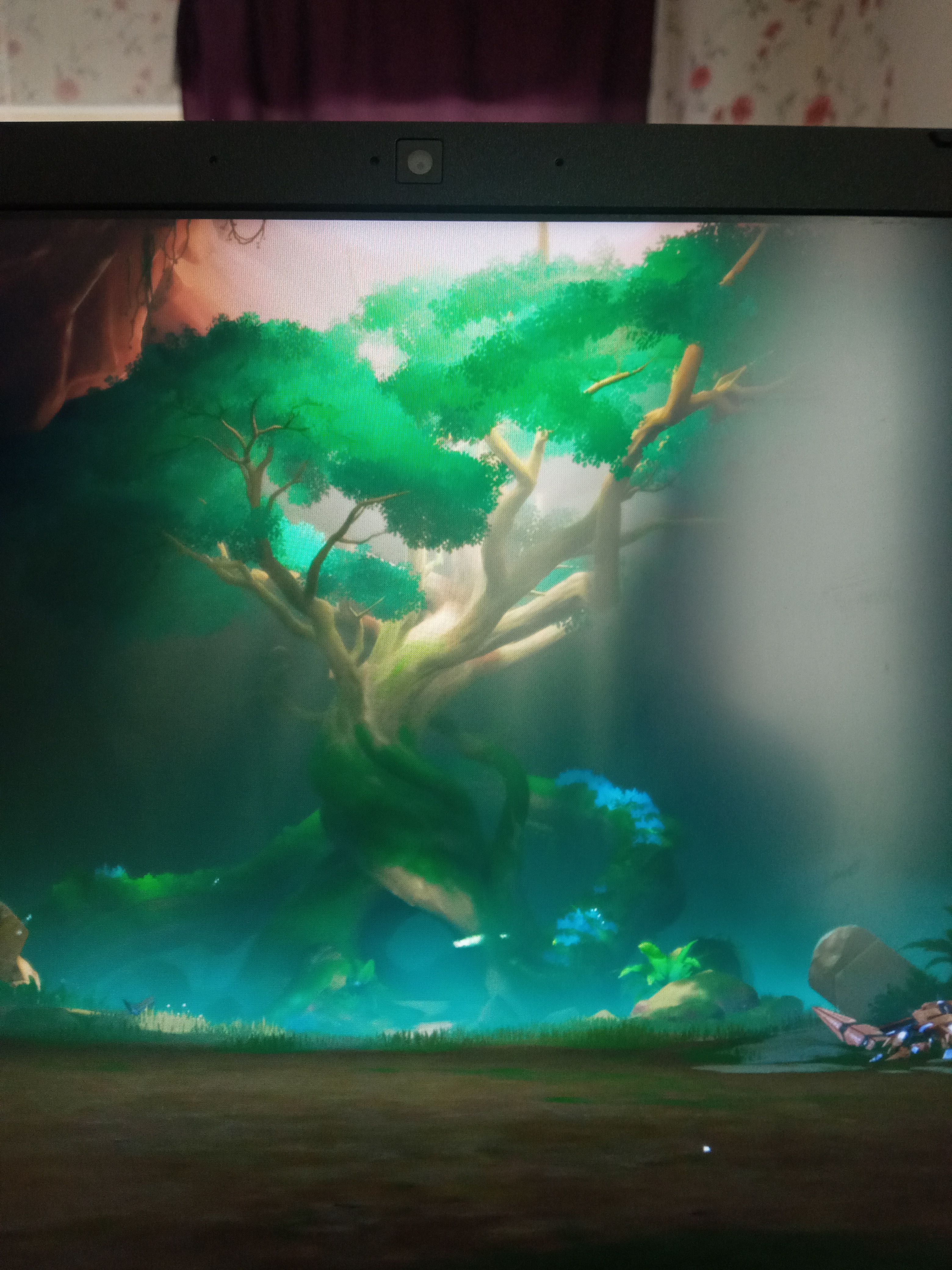 Sumeru tree Genshin Impact | HoYoLAB