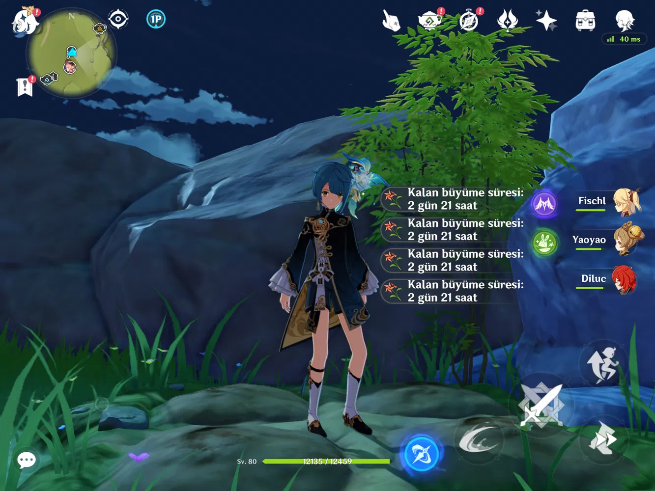 “Windwheel Aster(Rüzgargülü Yıldızpatı Çiçeği)” * 71 ---Toplama ...