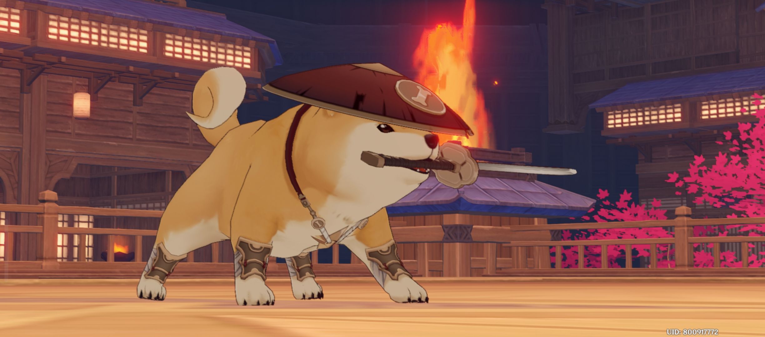 inumaruuu Genshin Impact | HoYoLAB