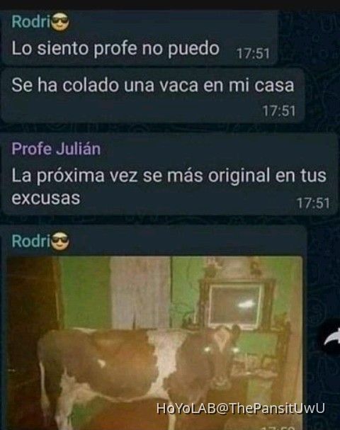 Que insanidad la vaca 👻👻 | HoYoLAB