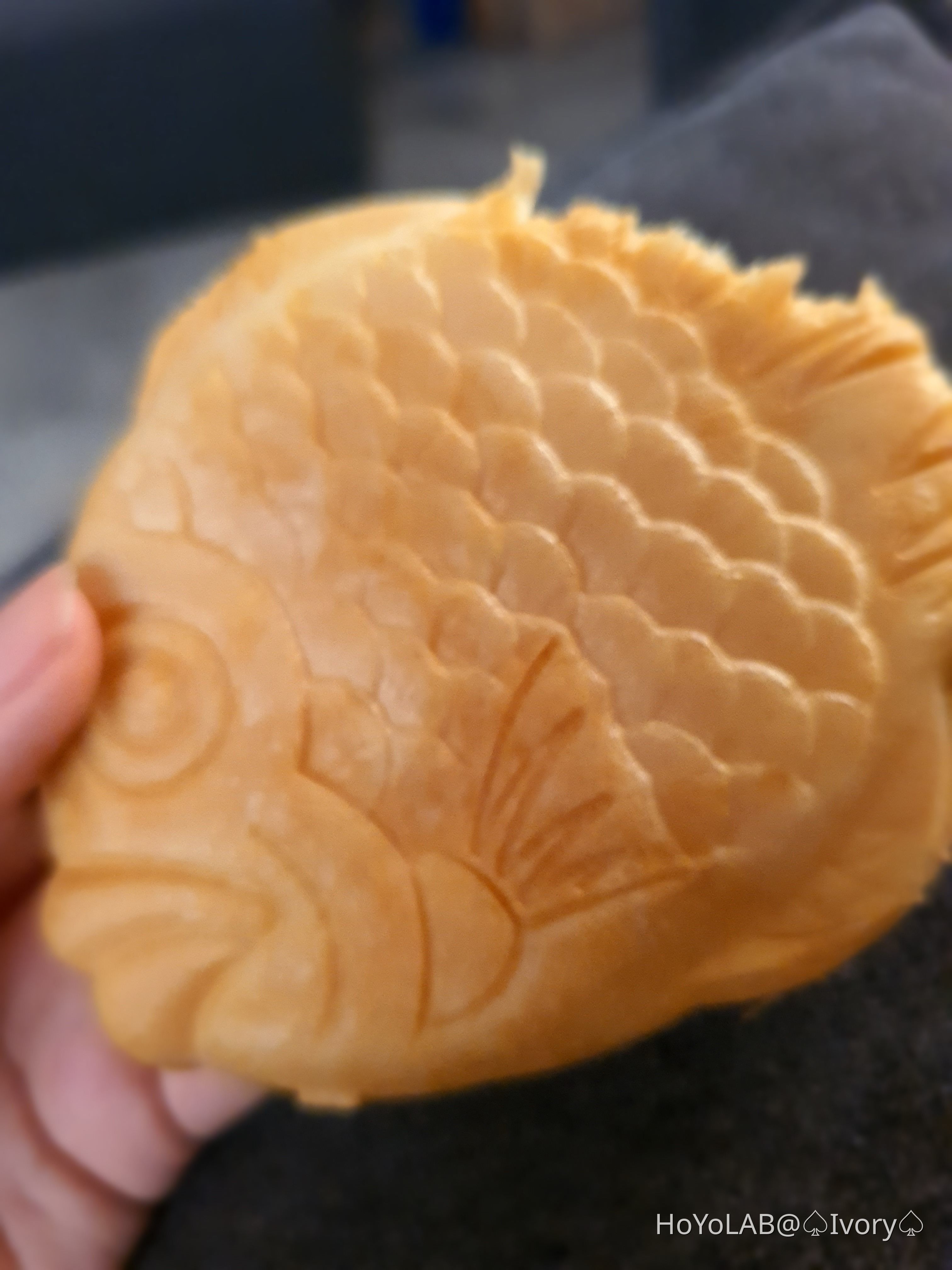 Another fish before I go- Genshin Impact | HoYoLAB