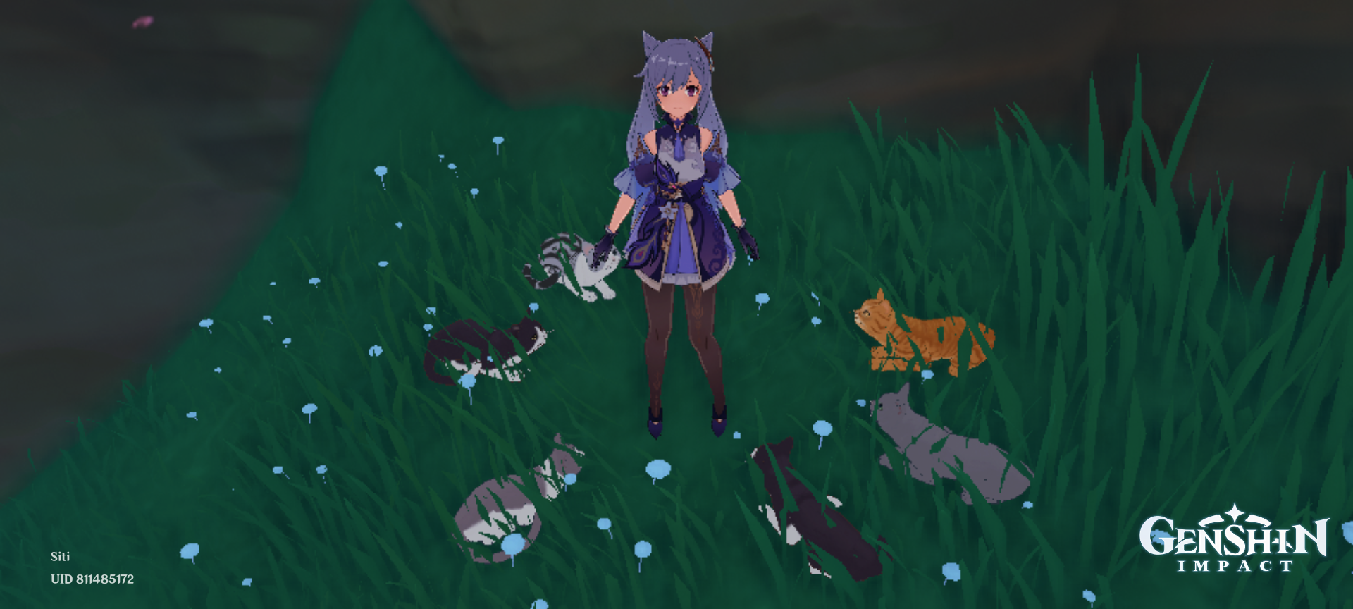 Pengabdi electro Cat Genshin Impact | HoYoLAB