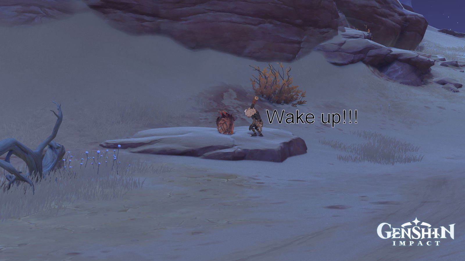 Let the poor thing sleep Genshin Impact | HoYoLAB