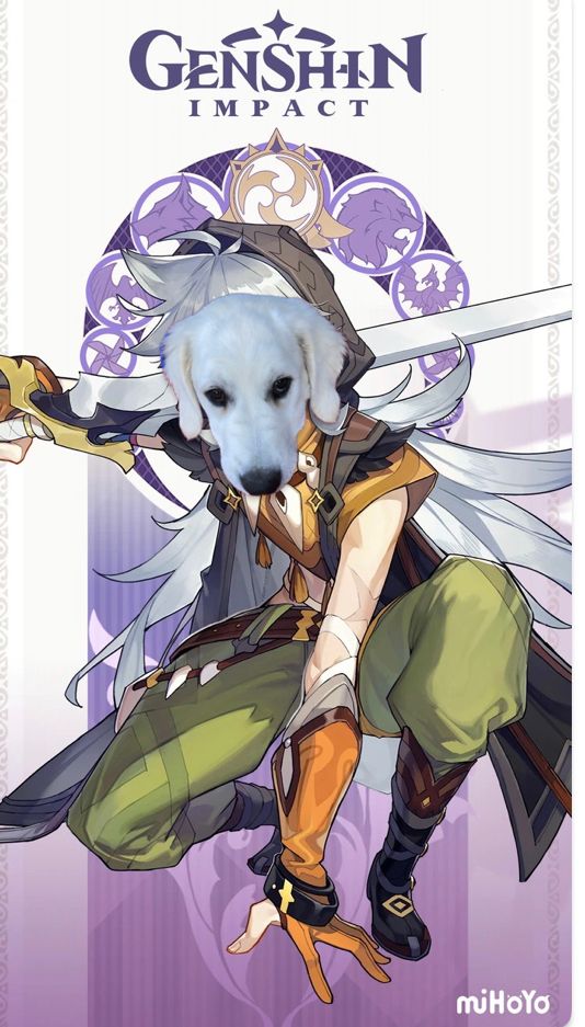 Looks good to me boss Genshin Impact | HoYoLAB