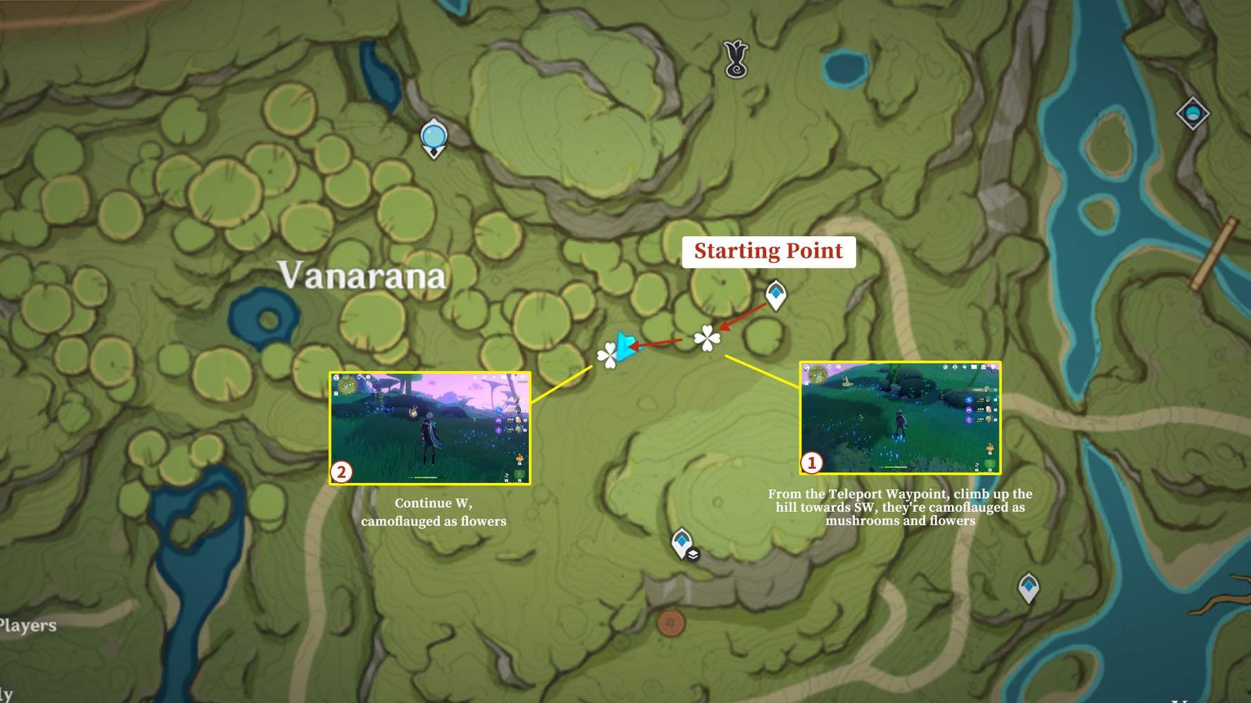 Material Collection ｜ Whopperflower, Shimmering, Energy Nectar | 8 ...