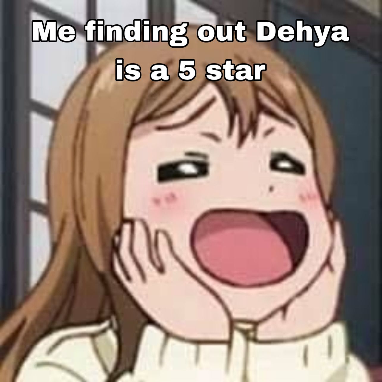 Thoughts on dehya being a 5 star? Genshin Impact | HoYoLAB