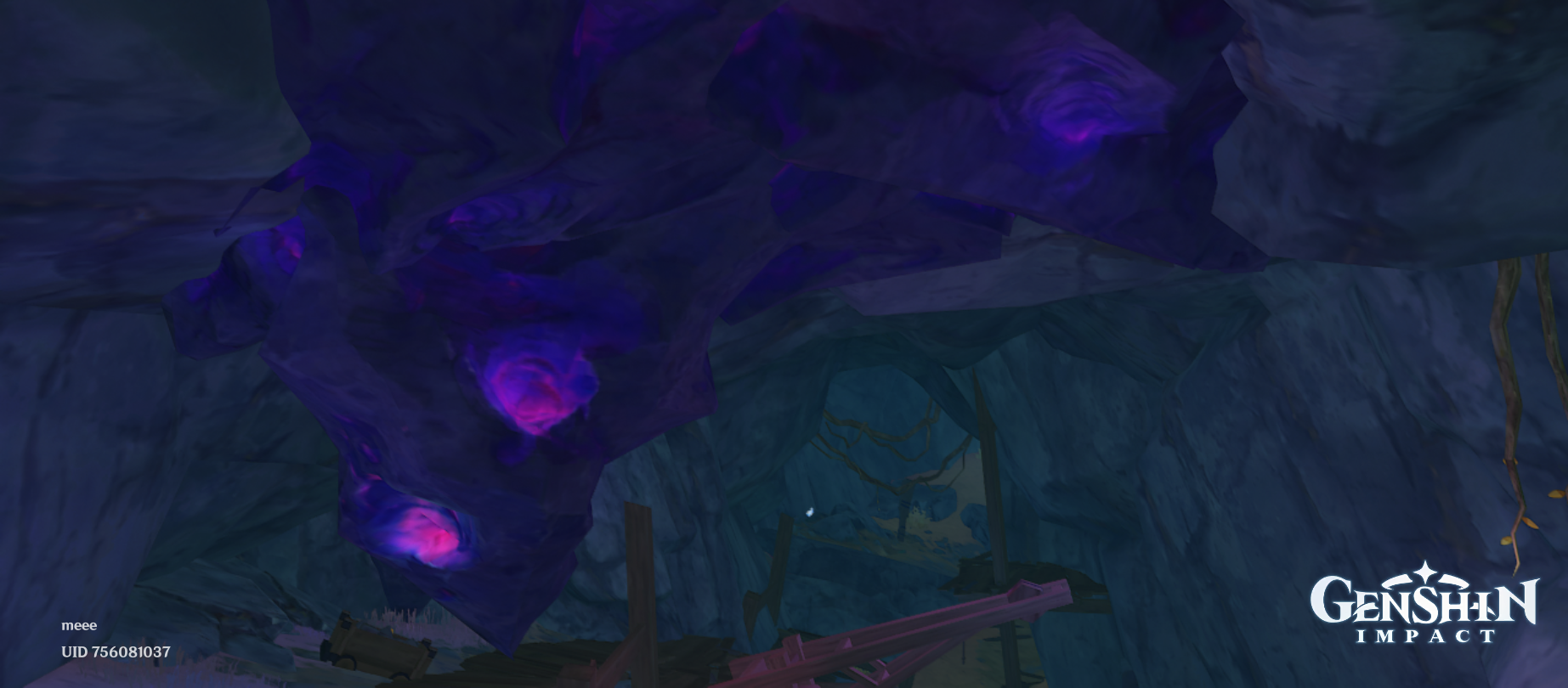 THE CHASM 🤩 Genshin Impact | HoYoLAB