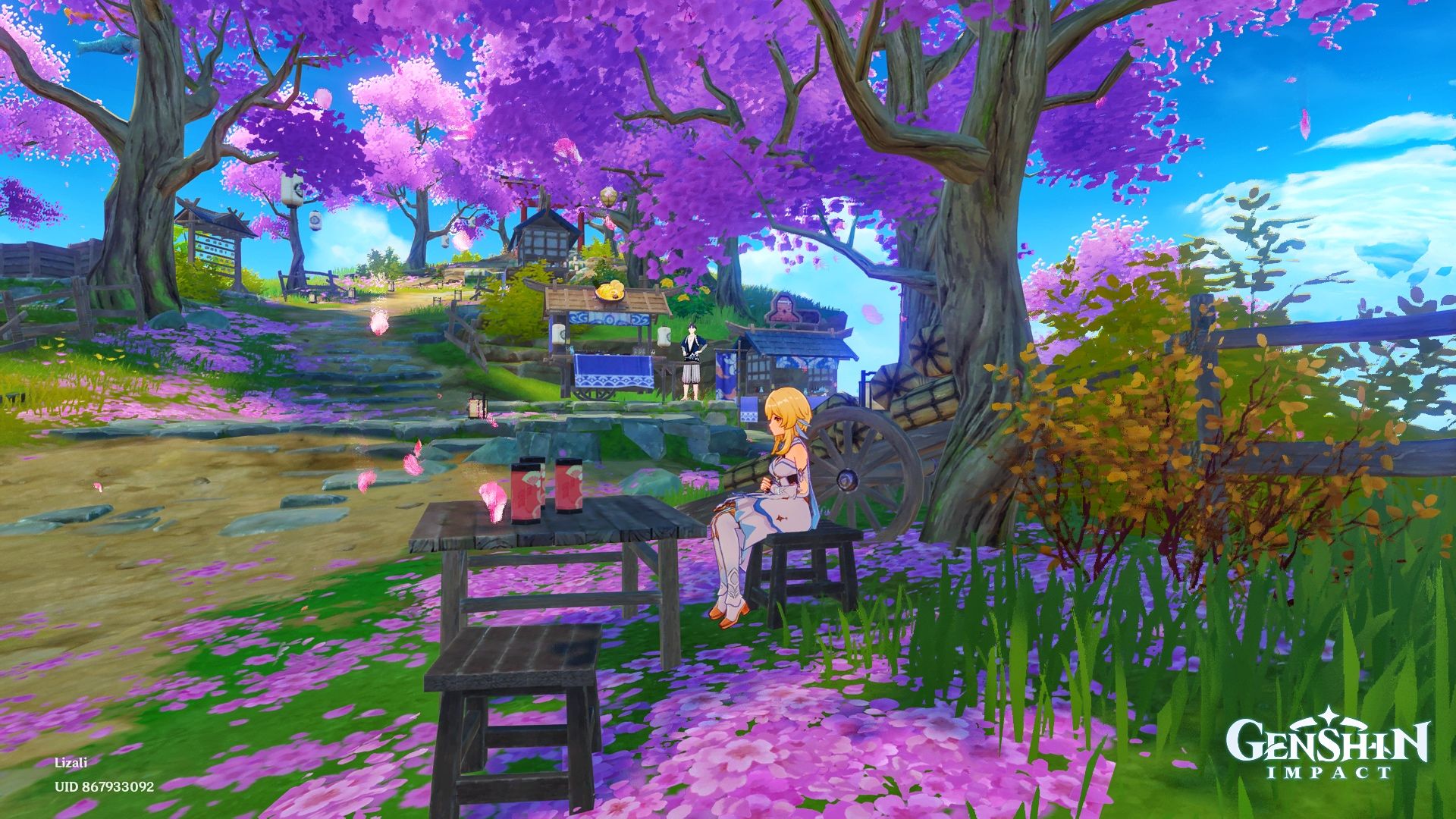 Me at Amakane Island, Inazuma Genshin Impact | HoYoLAB