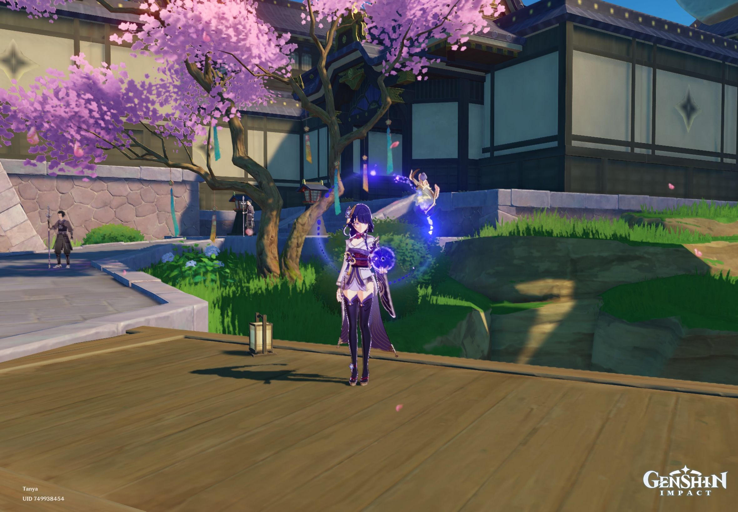 Raiden Genshin Impact | HoYoLAB