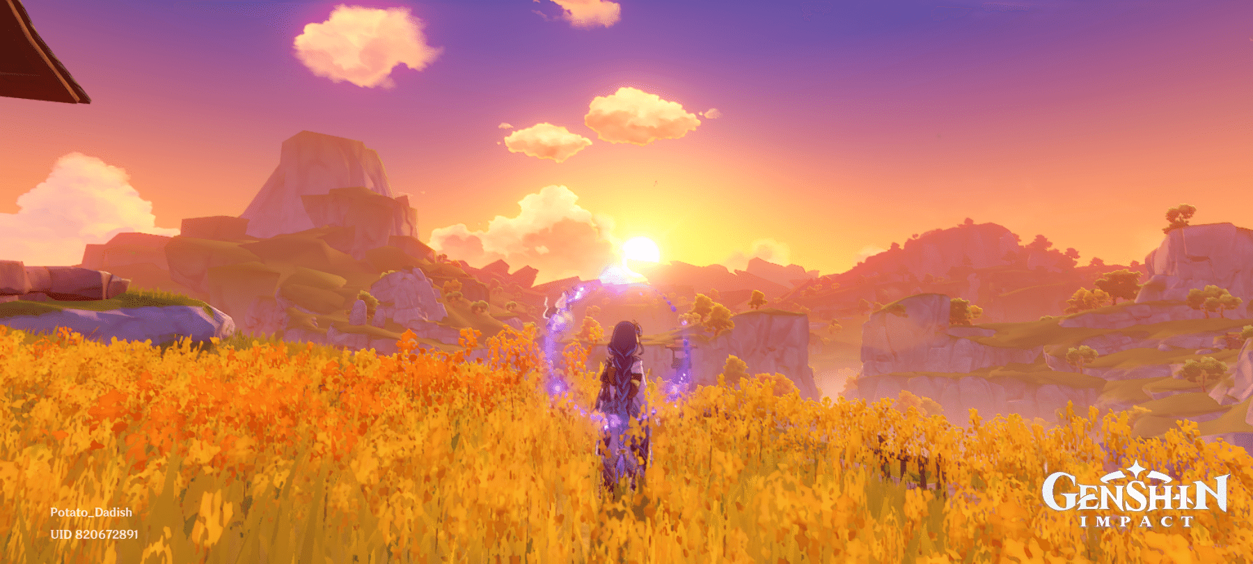 Liyue Yellow Field Genshin Impact | HoYoLAB