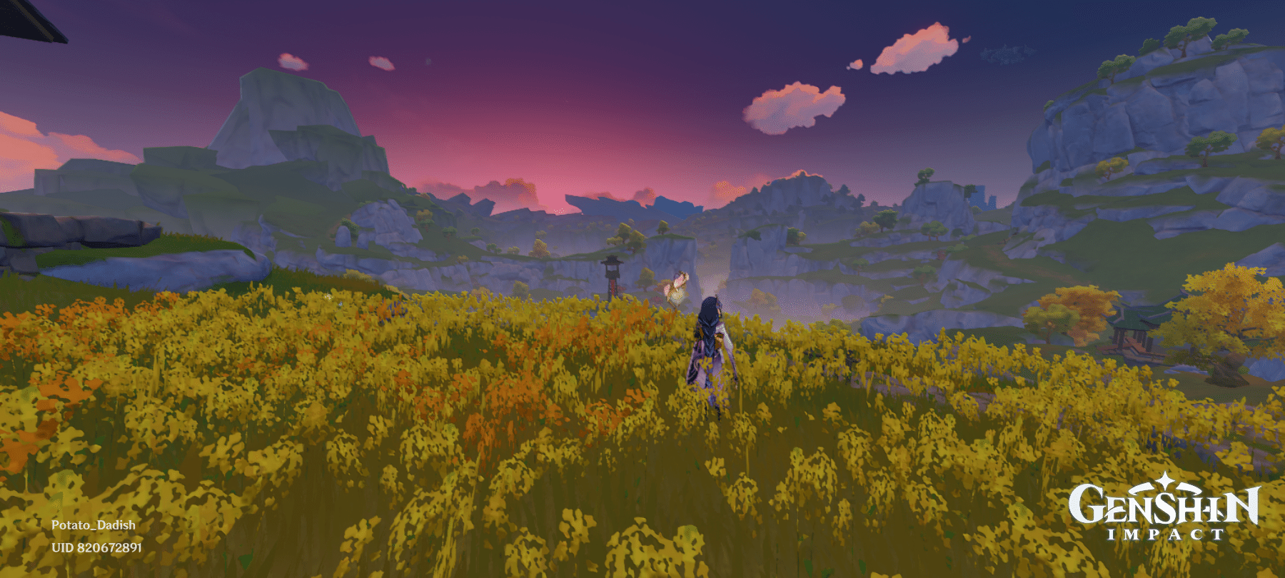Liyue Yellow Field Genshin Impact | HoYoLAB