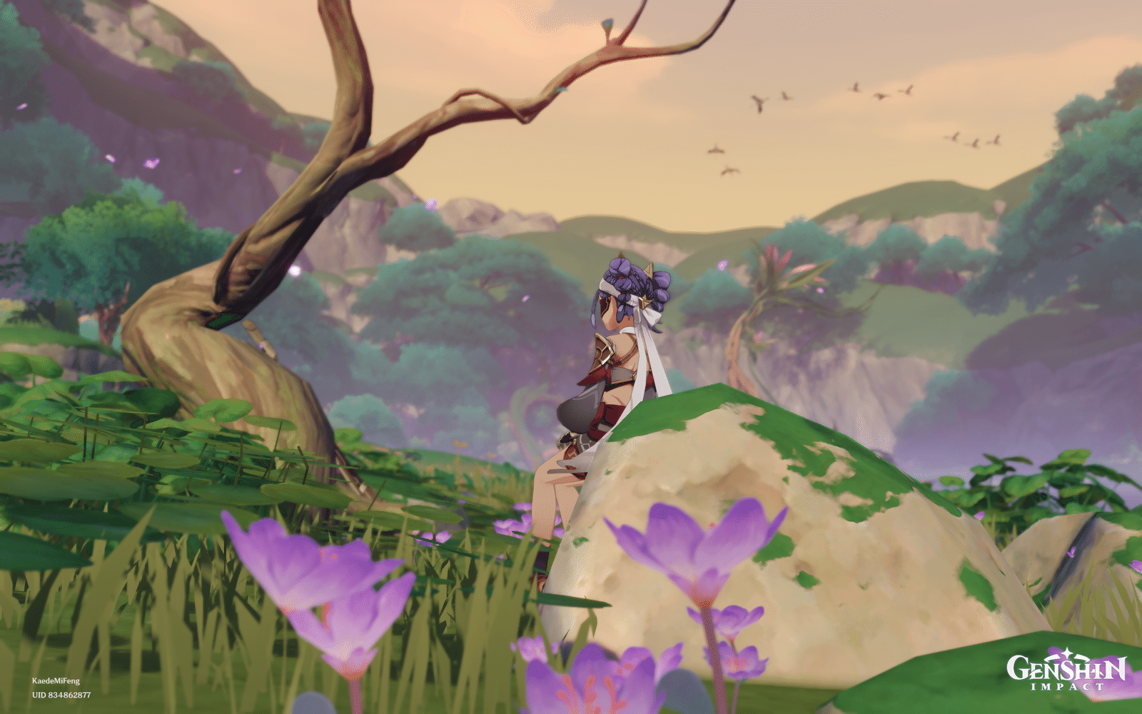 ETERNAL OASIS Genshin Impact | HoYoLAB