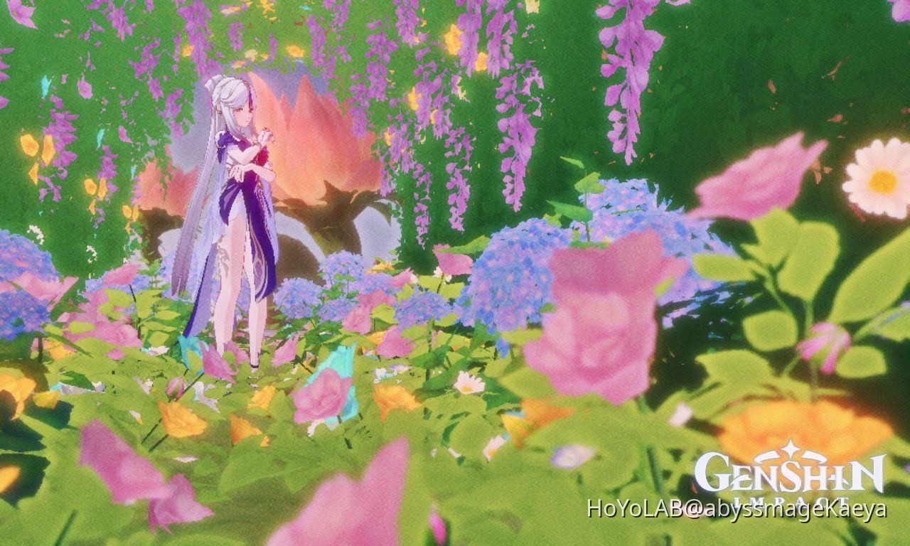🌷 Flower garden 🪴 Genshin Impact | HoYoLAB