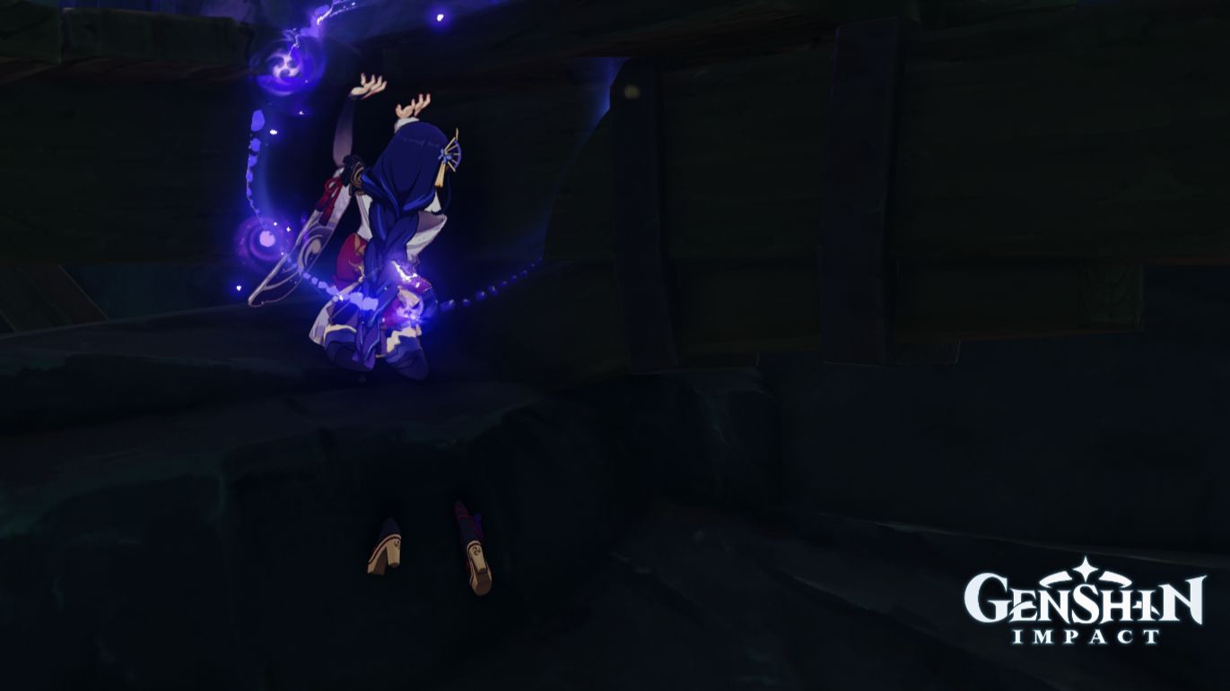 Raiden, ur legs ok? Genshin Impact | HoYoLAB