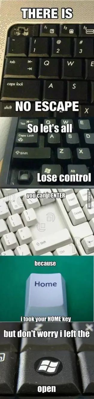 Random memes | HoYoLAB