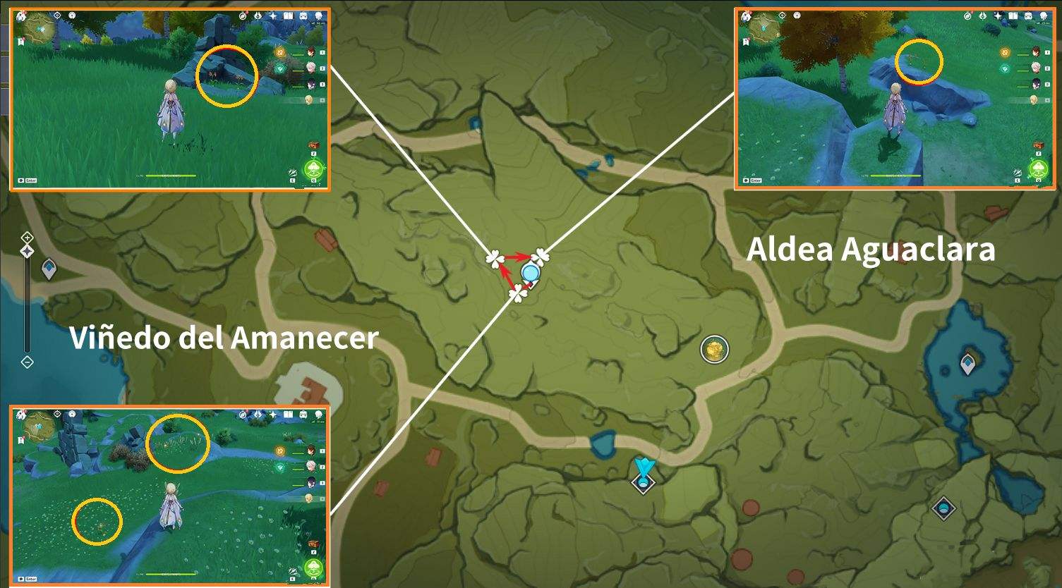 Guía de recolección de material : Margarita voladora ×71 Genshin Impact ...