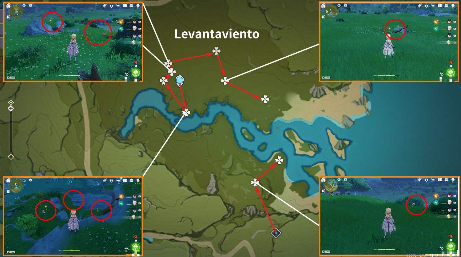 Guía de recolección de material : Margarita voladora ×71 Genshin Impact ...