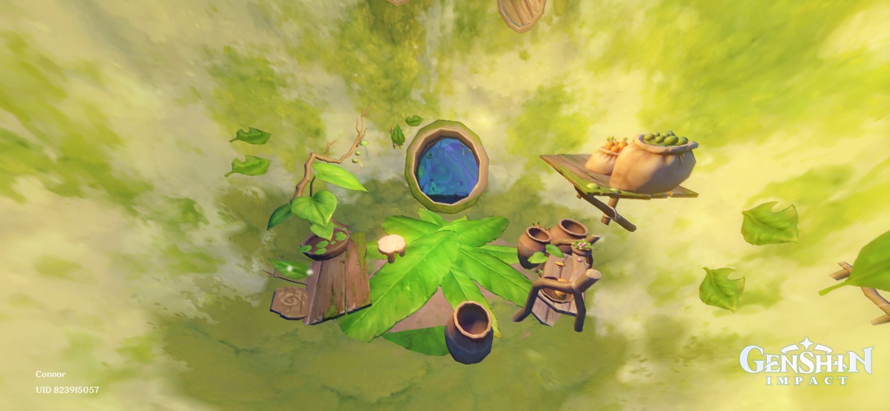 an aranara's home Genshin Impact | HoYoLAB