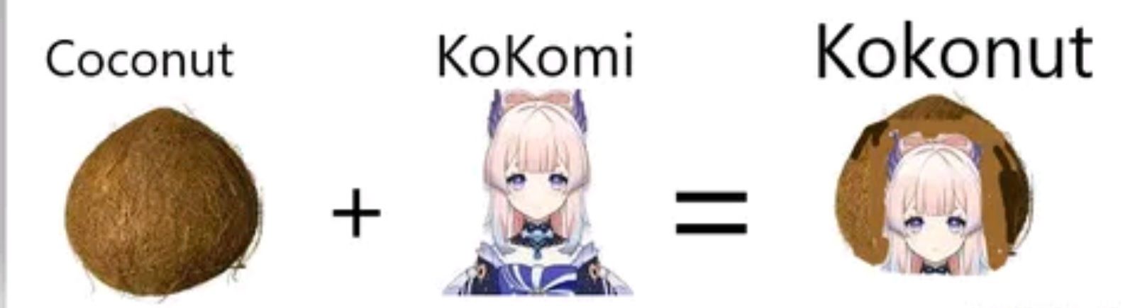 Hahahaha best Koko meme ever/JSJSJSJKA EL MEJOR MEME DE KOKOMI DEL ...