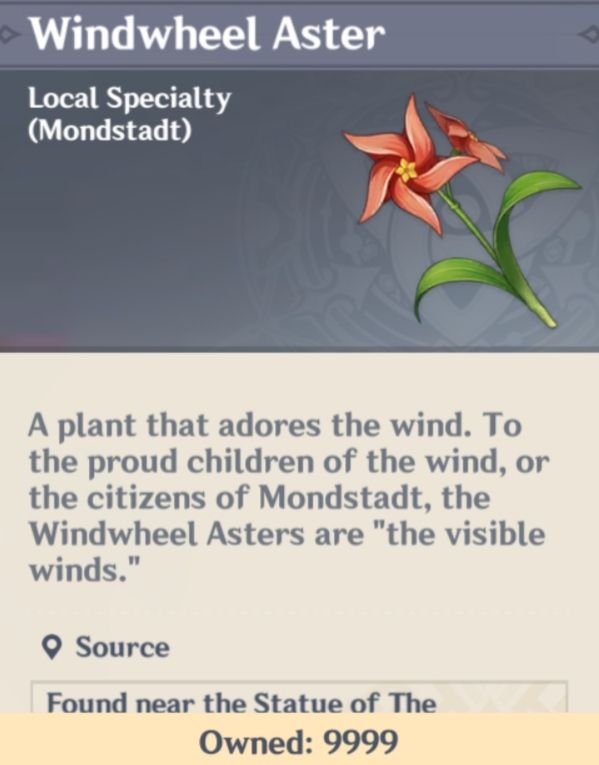 Windwheel Aster Genshin Impact | HoYoLAB