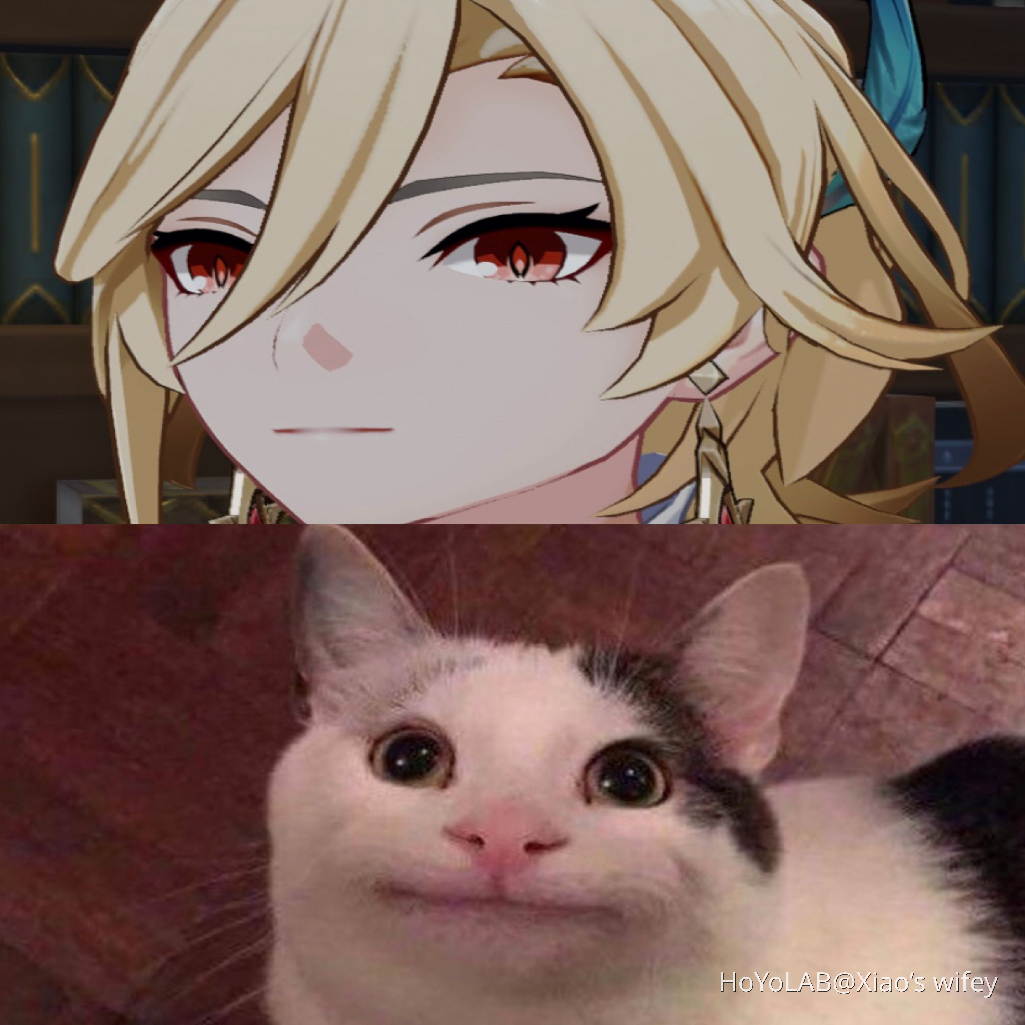 Kaveh is a Cat and Here’s Why Genshin Impact | HoYoLAB