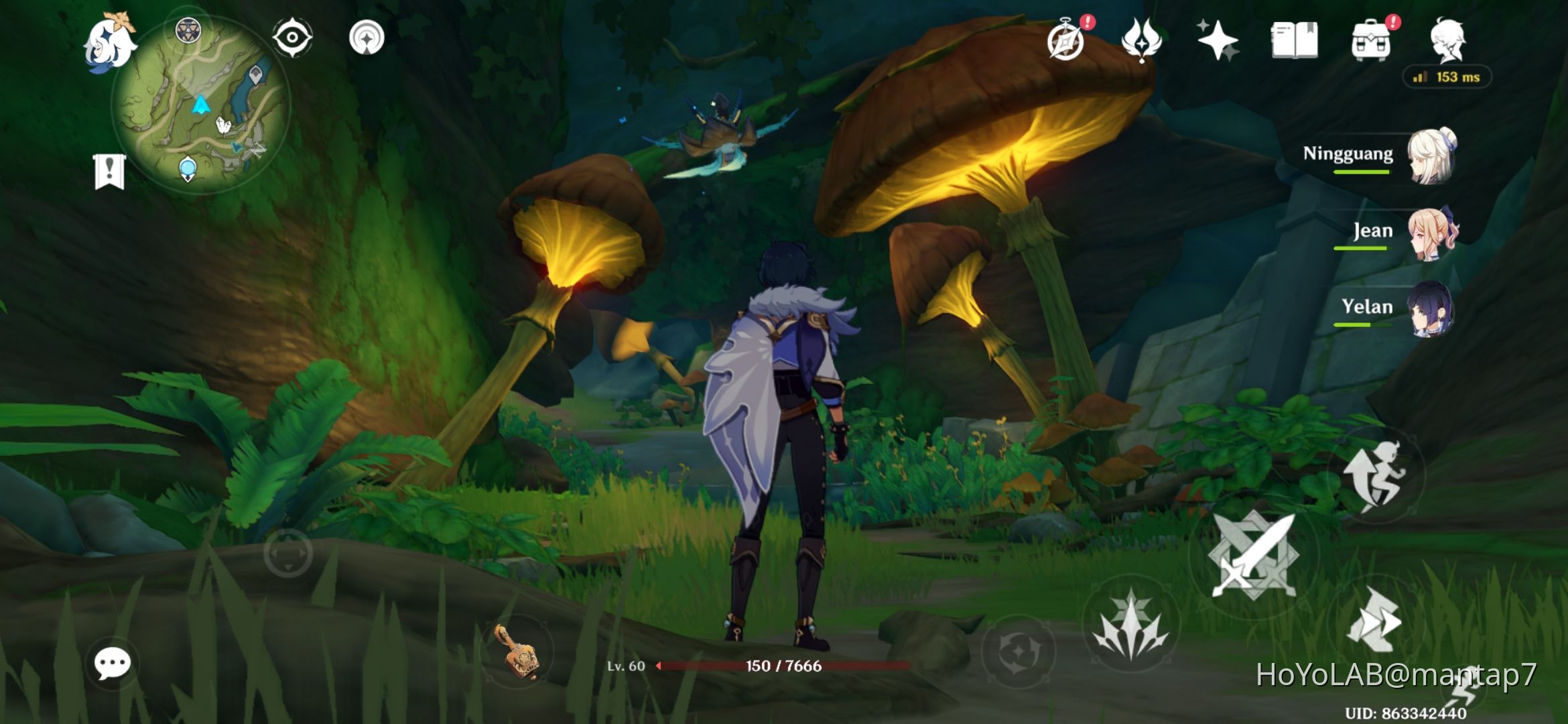 mushroom di sumeru atau mushroom di mondstadt? Genshin Impact | HoYoLAB