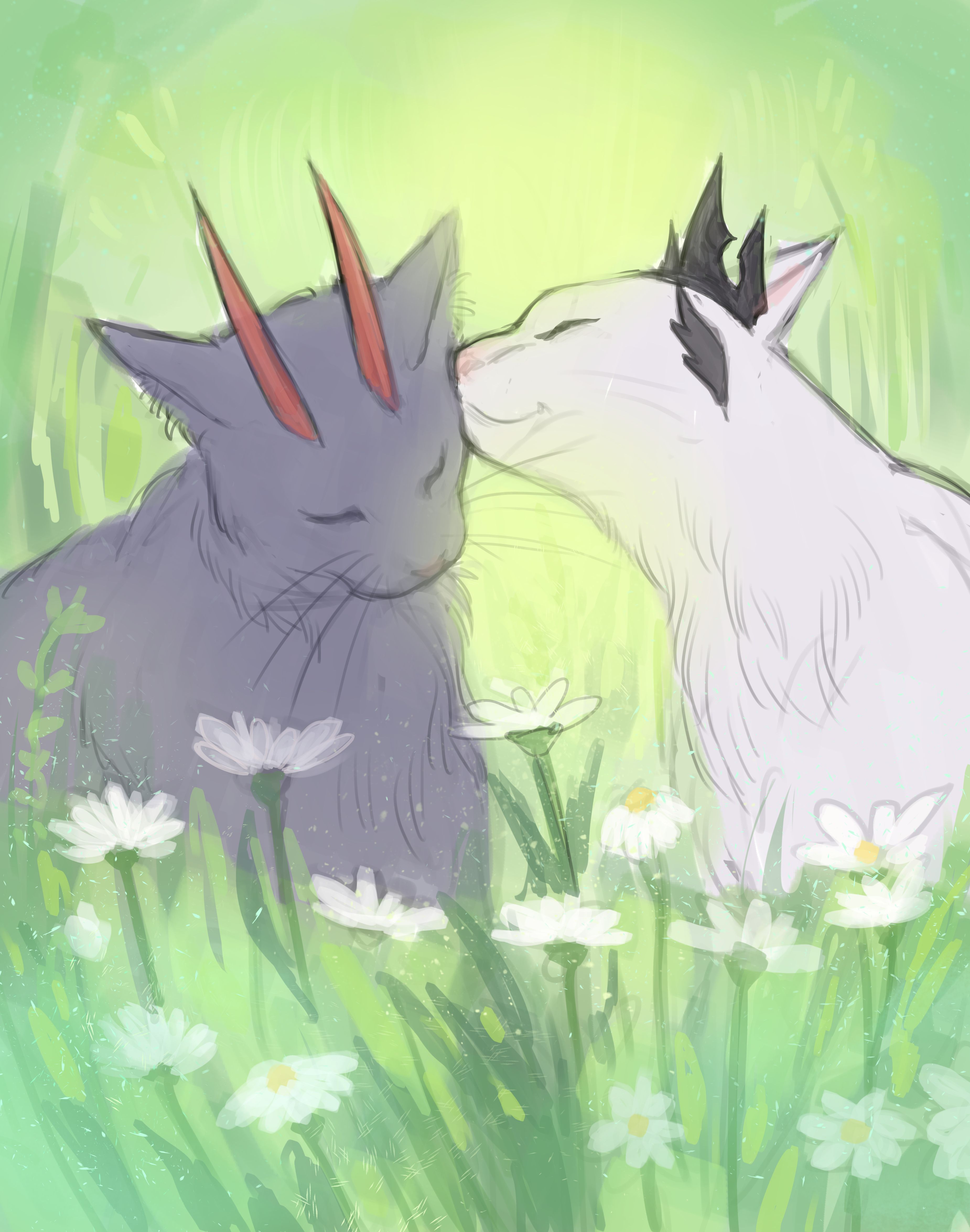 KiaMei as cats Honkai Impact 3rd | HoYoLAB