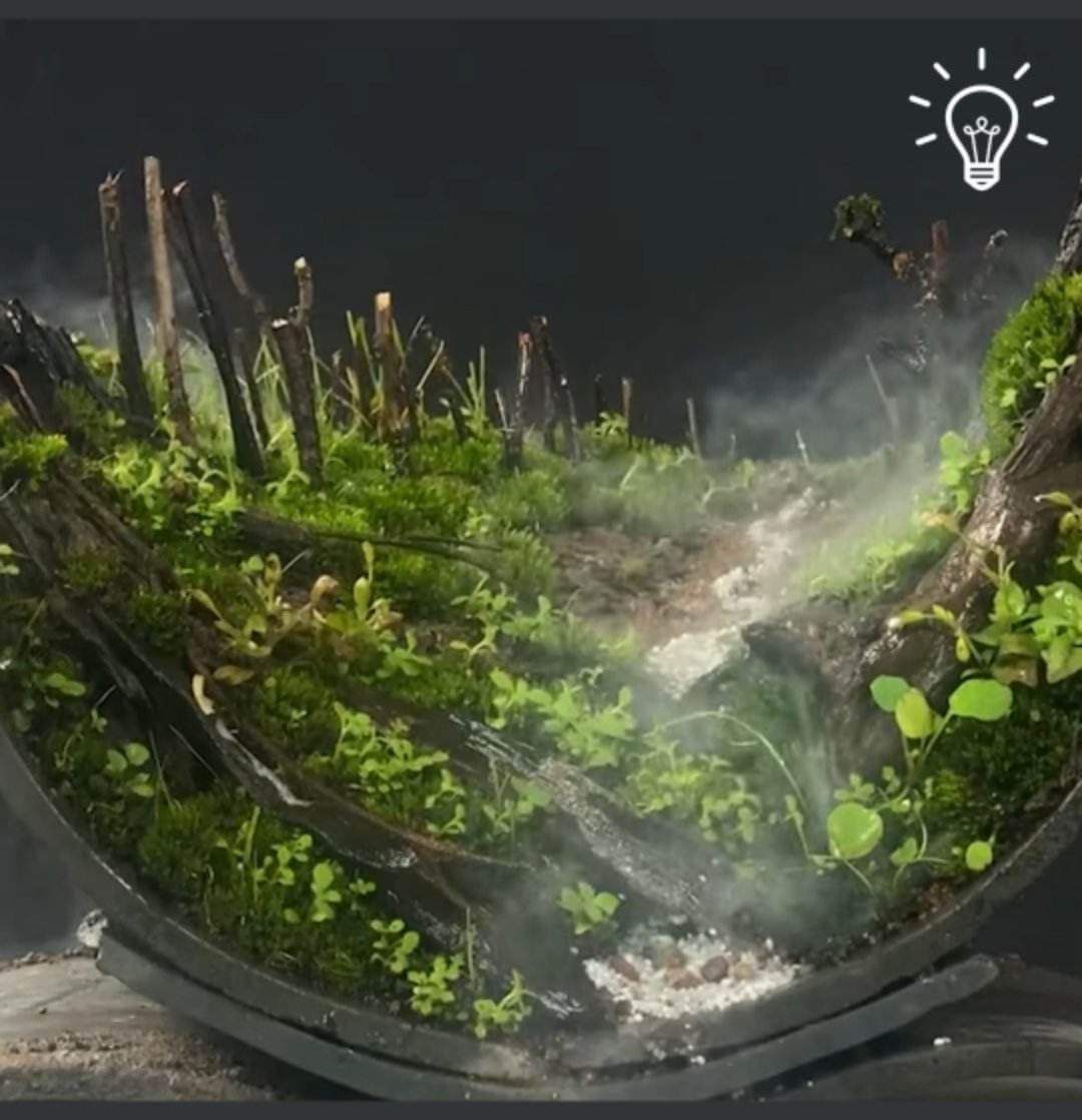 Diorama Sumeru Inspired Genshin Impact | HoYoLAB