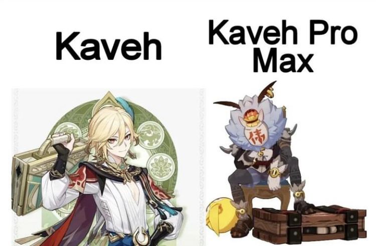 Kaveh Meme for all the Simps out there Genshin Impact | HoYoLAB